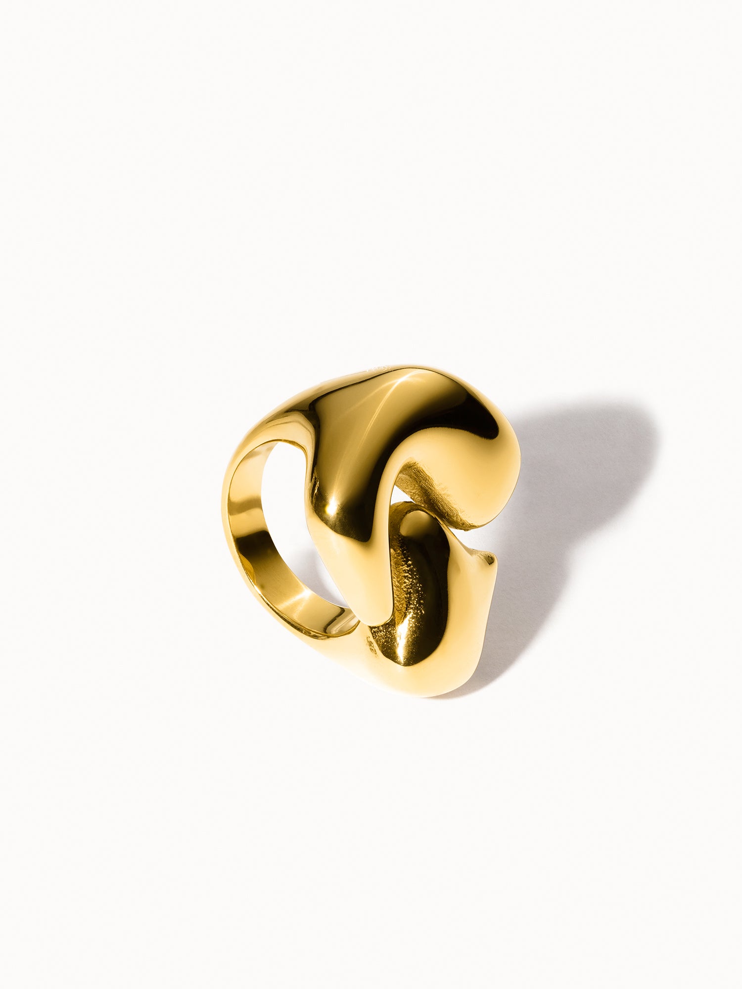 Fluid Forms Ring – INT PURELEI